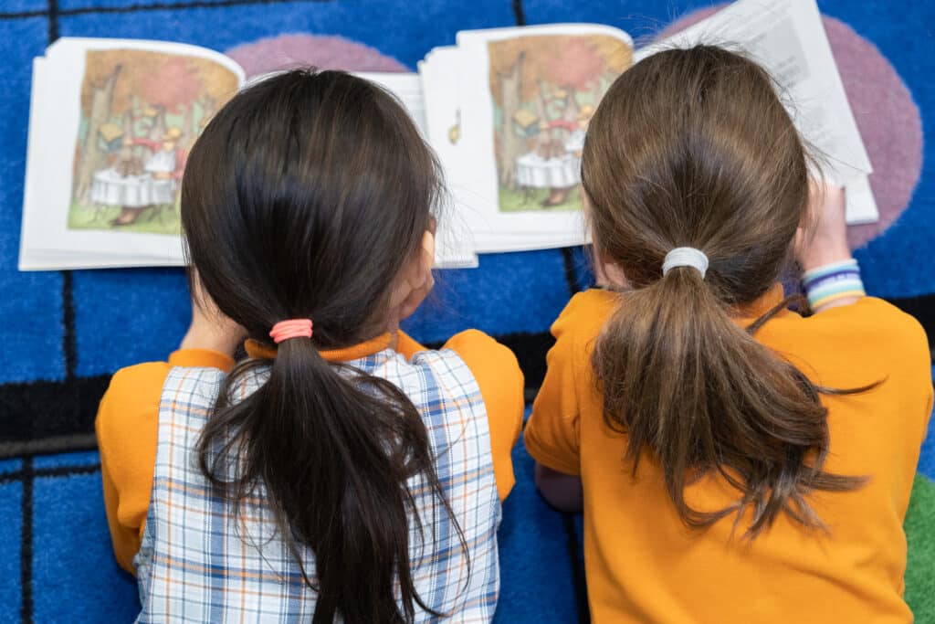 Fall 2021: Elementary School Literacy Workshop Resources - Success ...